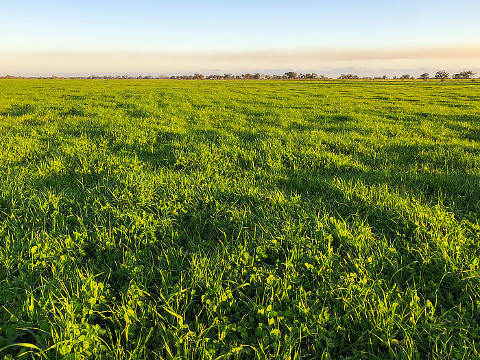 About Us | Beermullah Farm